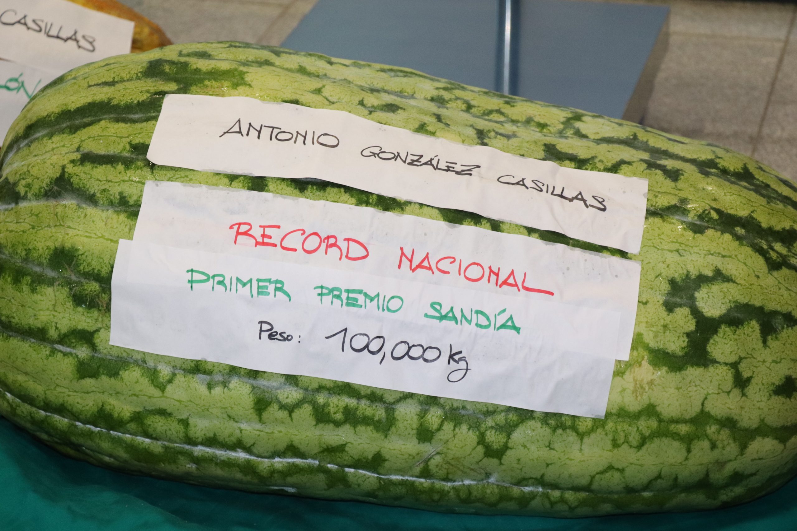Hoy 3 de agosto se celebra el Día Internacional de la Sandía ...